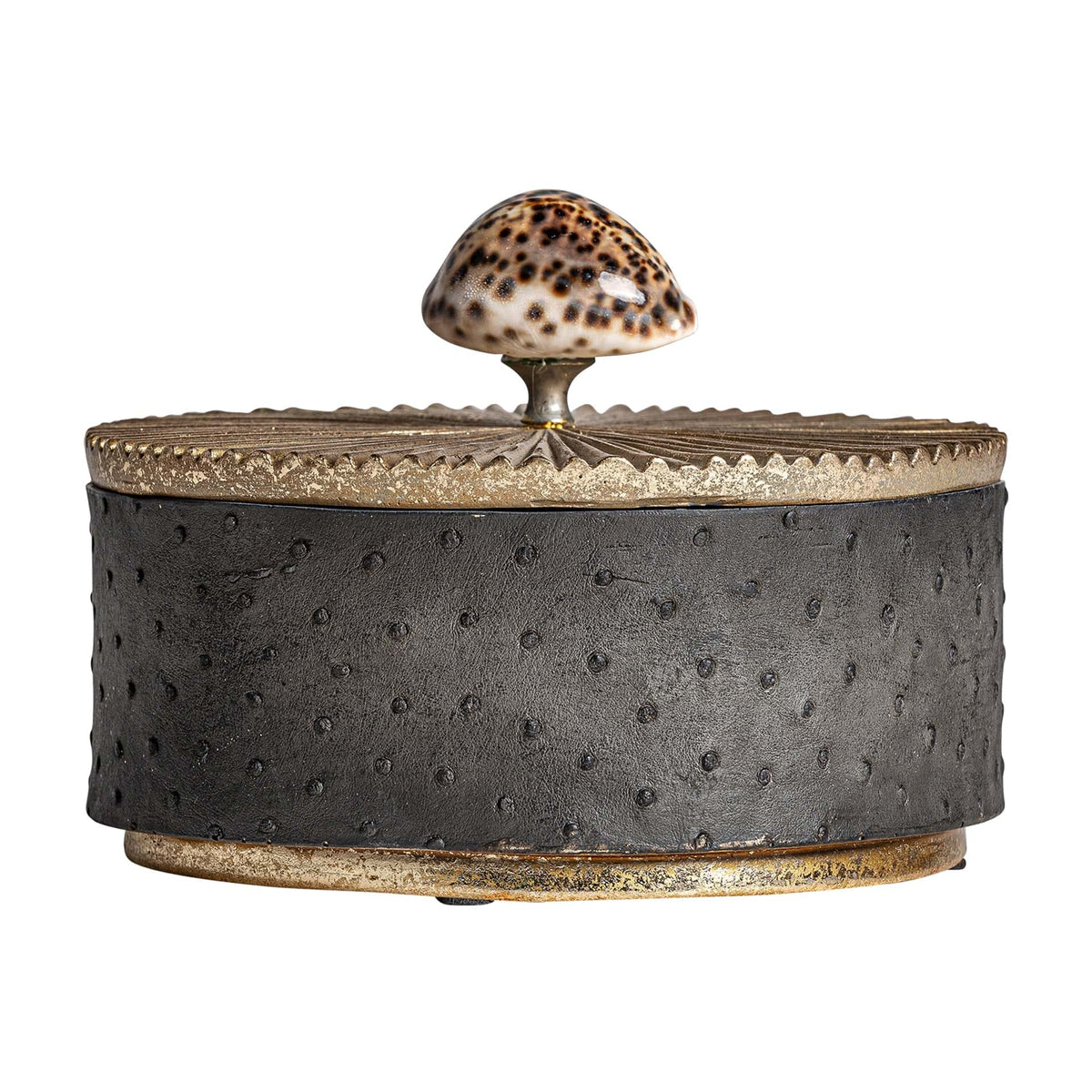 Runde Box mit Deckel verziert mit einer Muschel – Maison Oudh